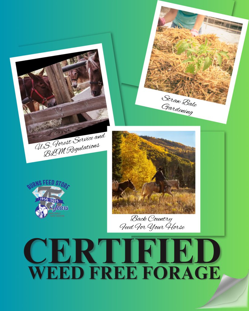 Certified Weed Free Orchard Grass & Straw at Burns Feed Store - Burns ...